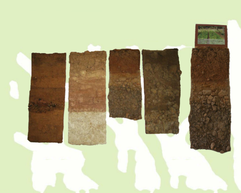 Soil Museum – Myanmar Water Academy